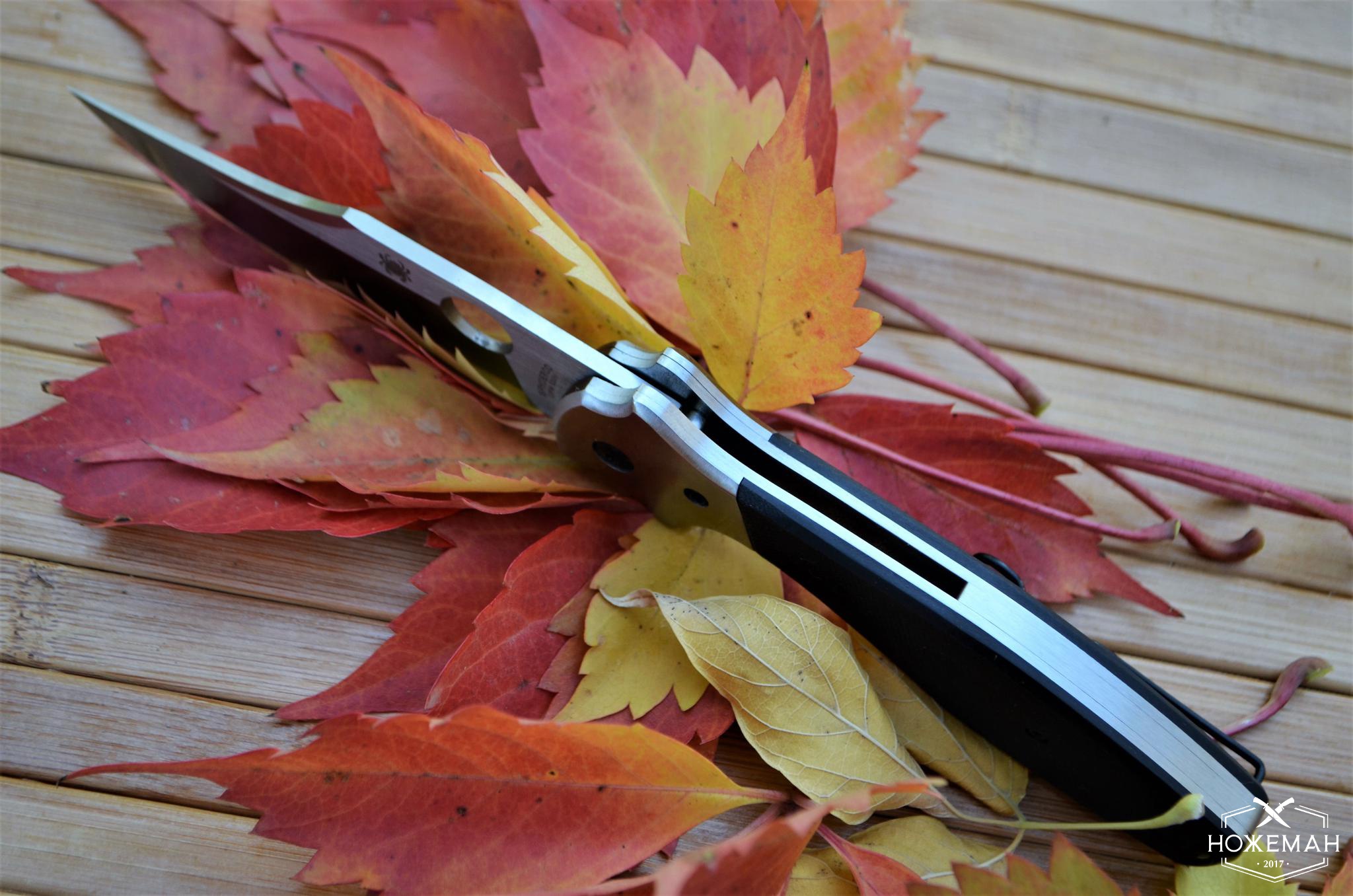 Нож складной Spyderco Schempp Bowie C190 купить в Украине - Nozheman ...