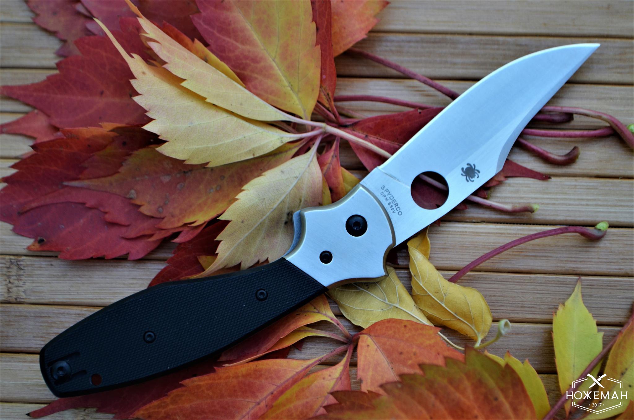 Нож складной Spyderco Schempp Bowie C190 купить в Украине - Nozheman ...