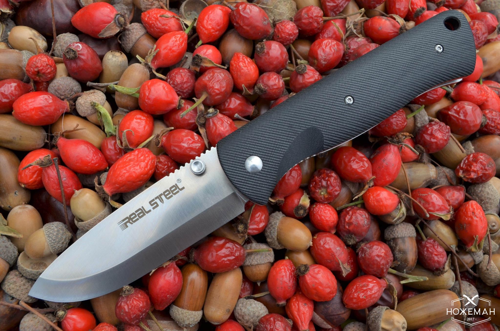 Нож Real Steel Bushcraft Folder 3716 купить: Харьков, Херсон, Хмельницкий