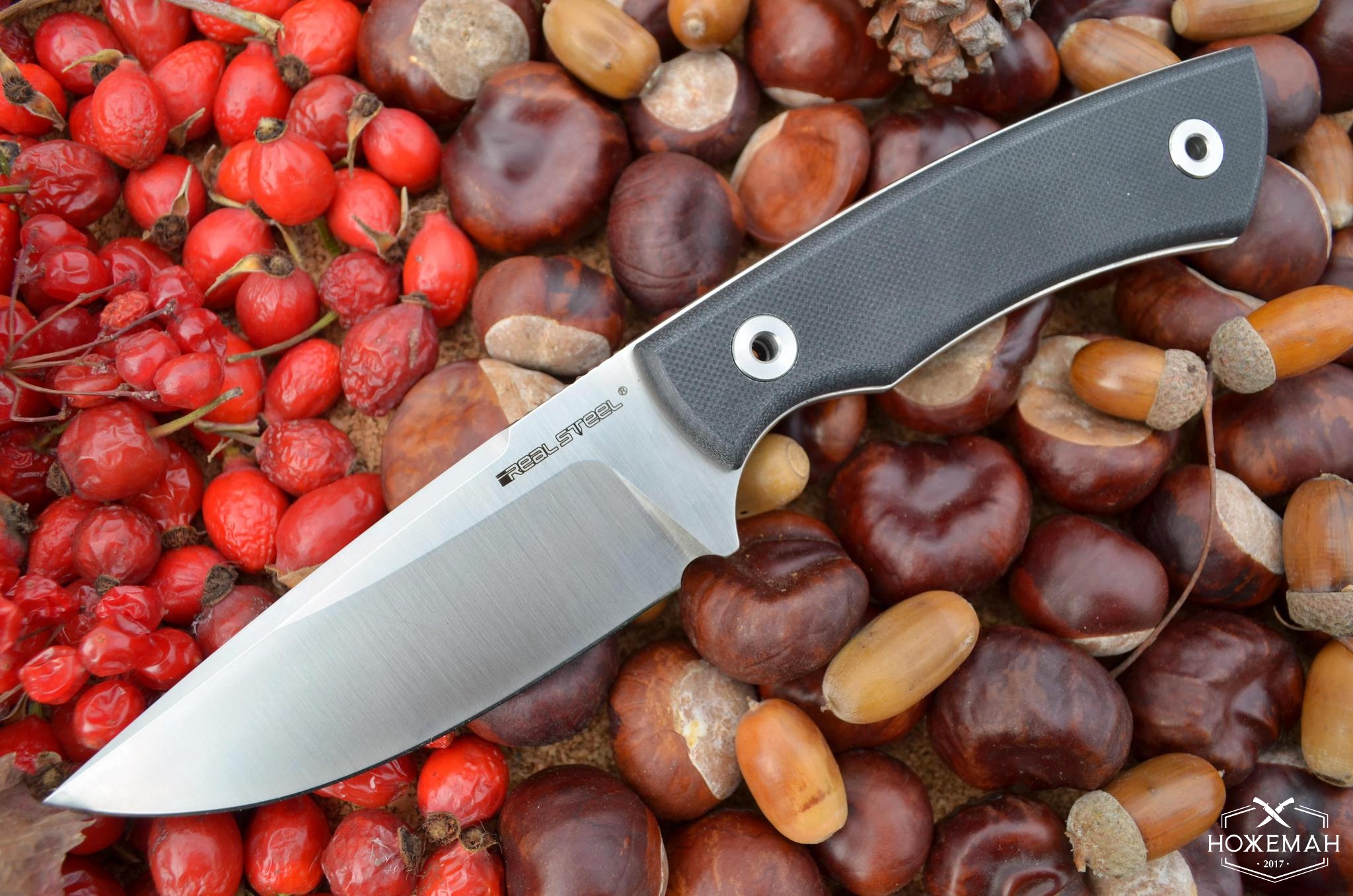 Охотничий нож Real Steel Forager 3750 купить - официальный магазин Киев ...